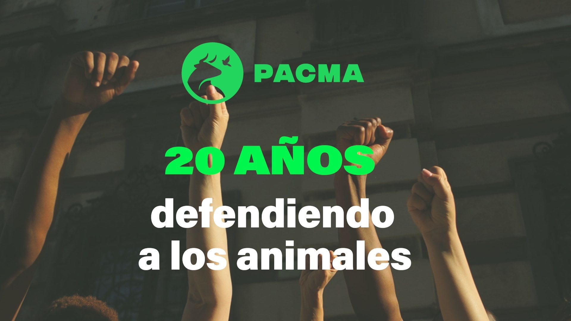 El Partido Animalista PACMA cumple 20 años renovado y con el reto de la ...