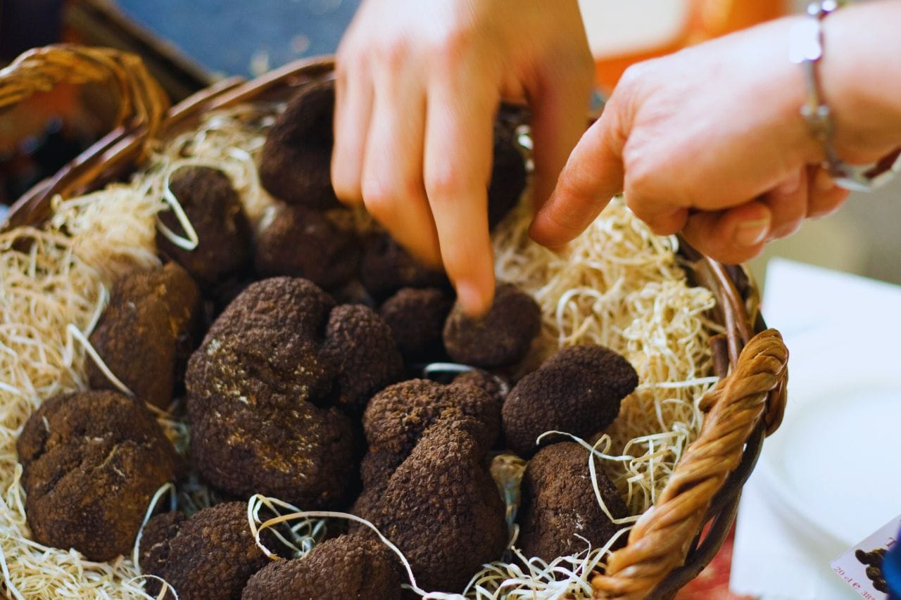 El encanto de la trufa negra y su valor gastronómico único | Iberian Press®